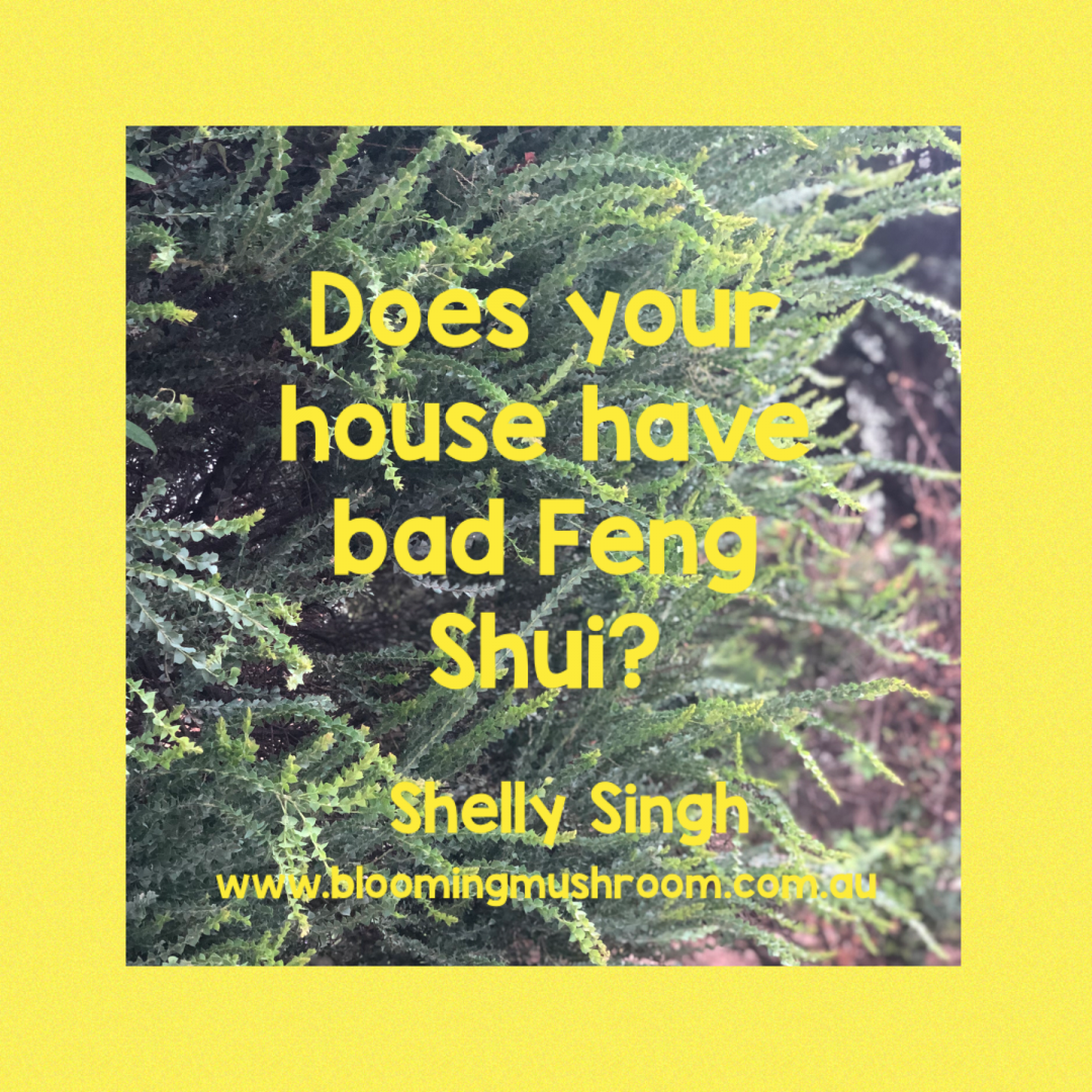 Should you be scared of bad Feng Shui? | Blooming Feng Shui